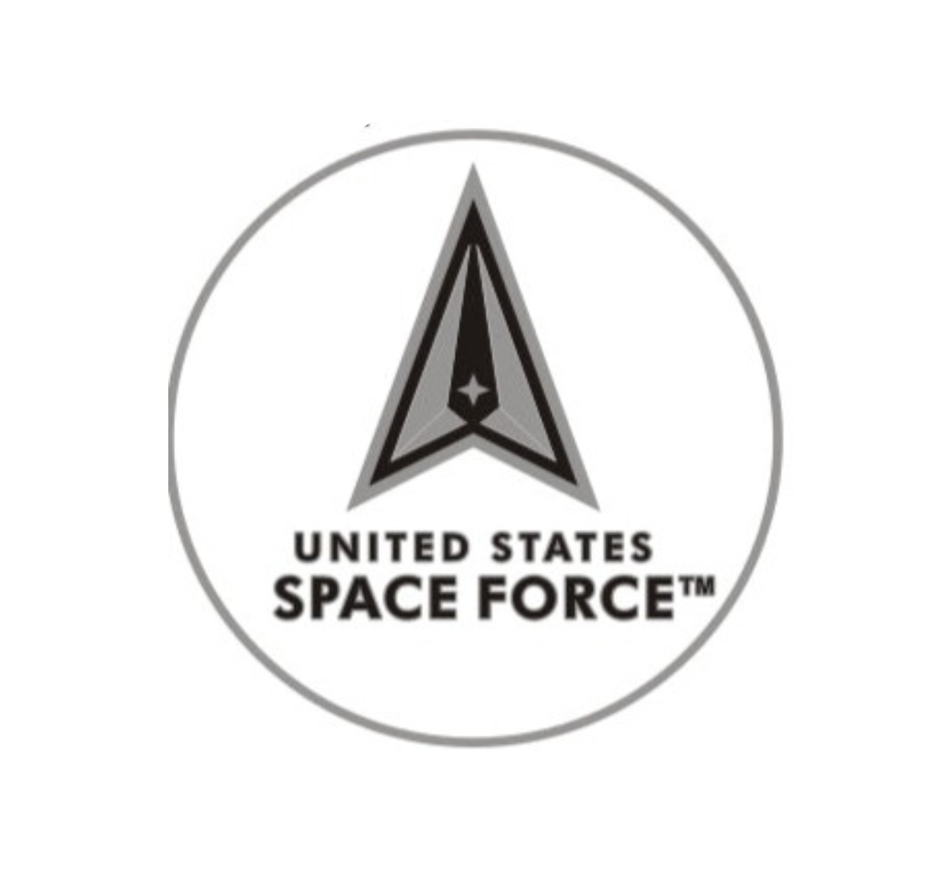 U.S. Space Force Round Lapel Pin – ShopAFA